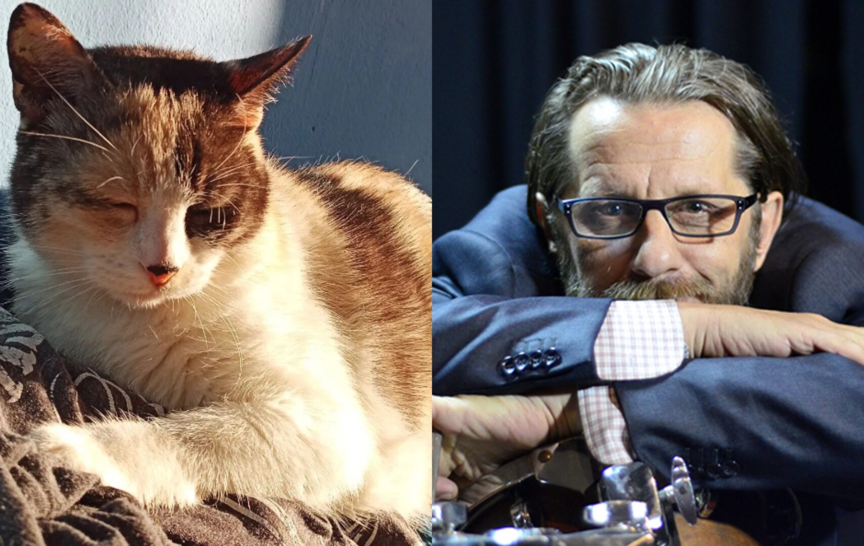 Мојата Емче замина на небото, Игор тагува по својата омилена мачка од ...