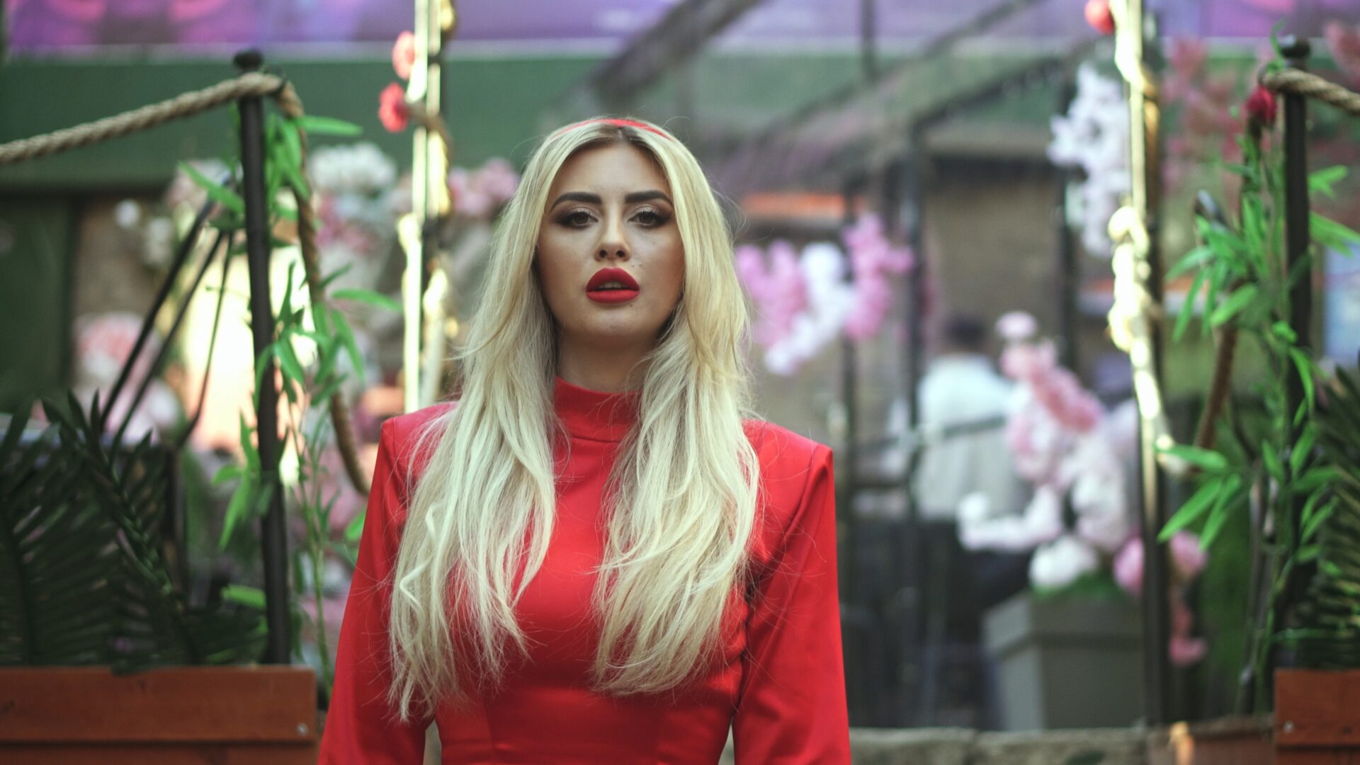 (Видео) Софија Манева се враќа на музичката сцена - Reporter.mk